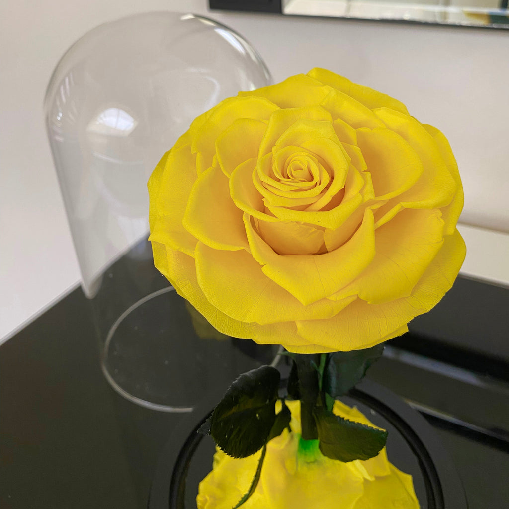 Mini Forever Rose - Yellow– My Forever Rose Australia