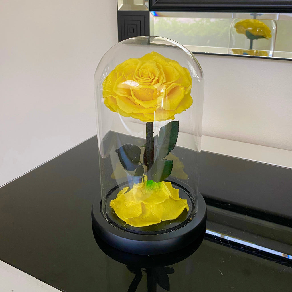 Mini Forever Rose - Yellow– My Forever Rose Australia