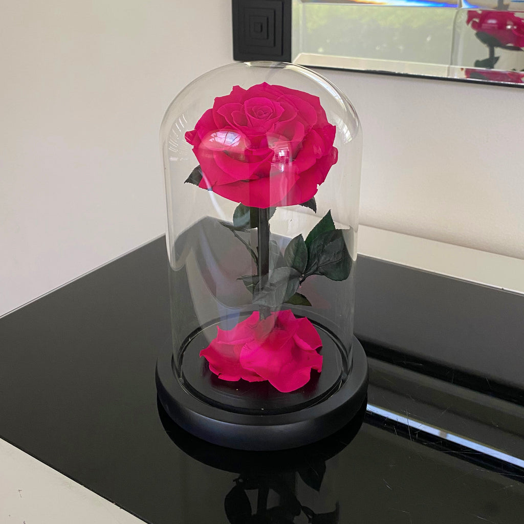 Mini Forever Rose - Hot Pink– My Forever Rose Australia