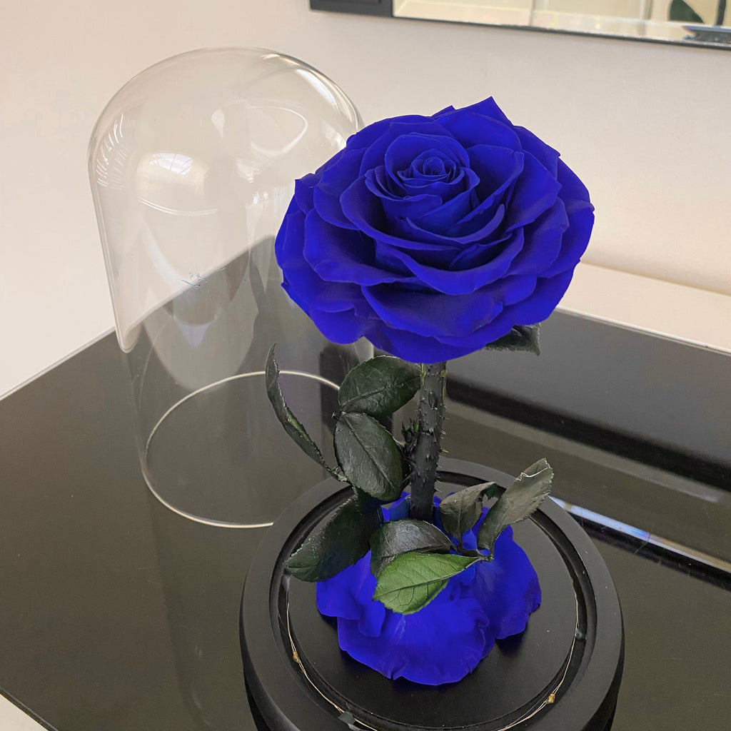 Mini Forever Rose - Dark Blue– My Forever Rose Australia