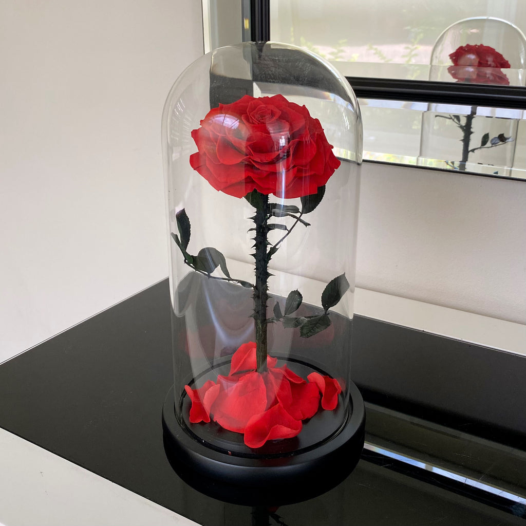 Forever Rose - Red– My Forever Rose Australia