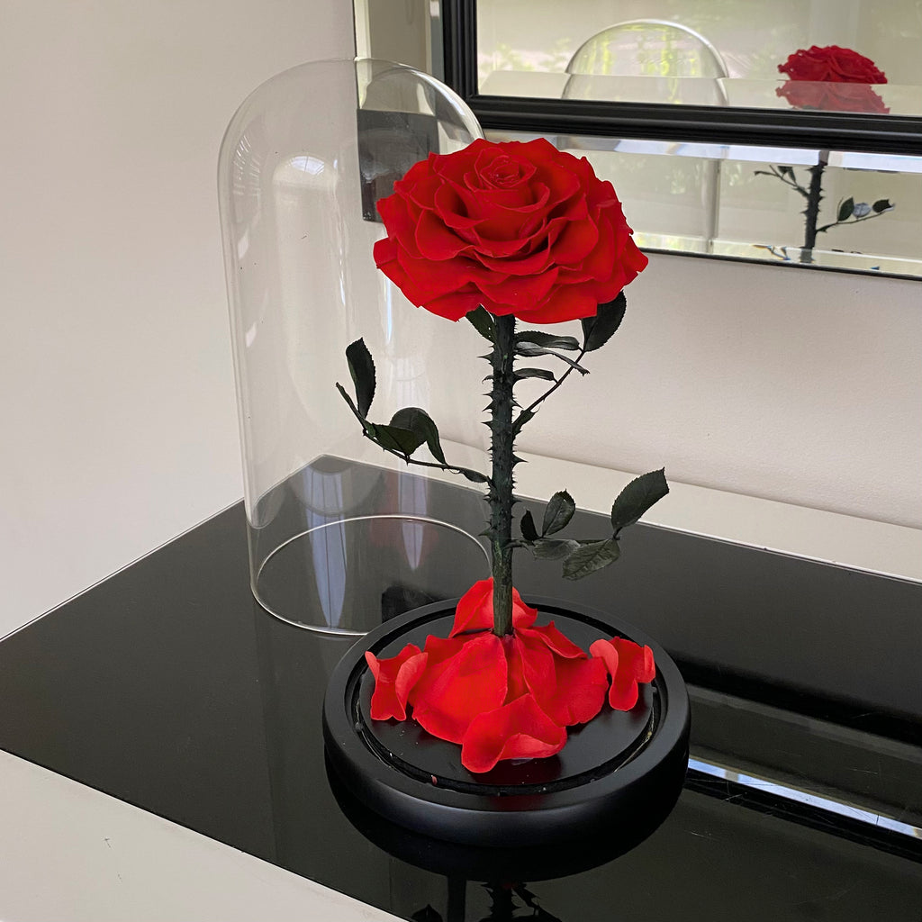 Forever Rose - Red– My Forever Rose Australia