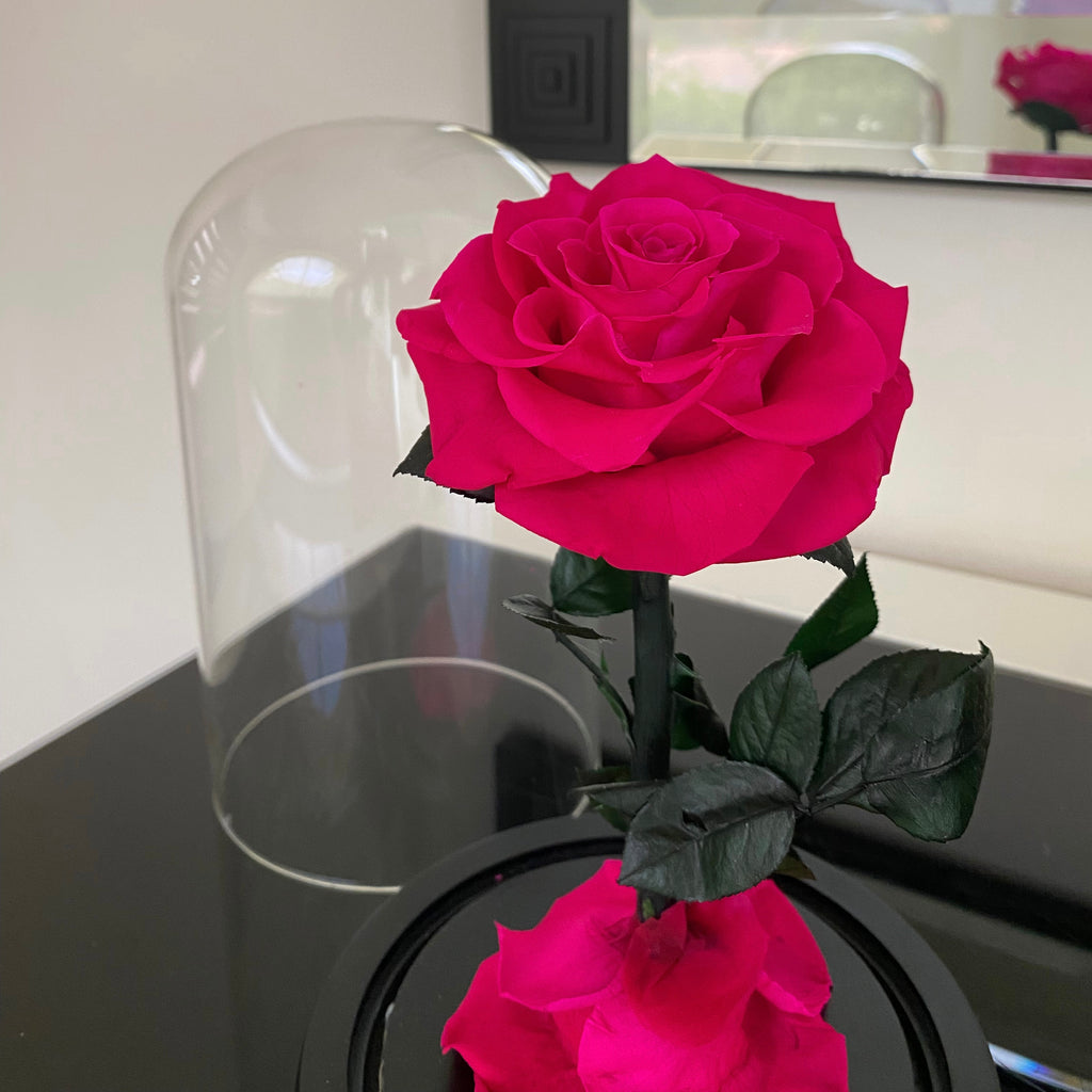 Mini Forever Rose - Hot Pink– My Forever Rose Australia